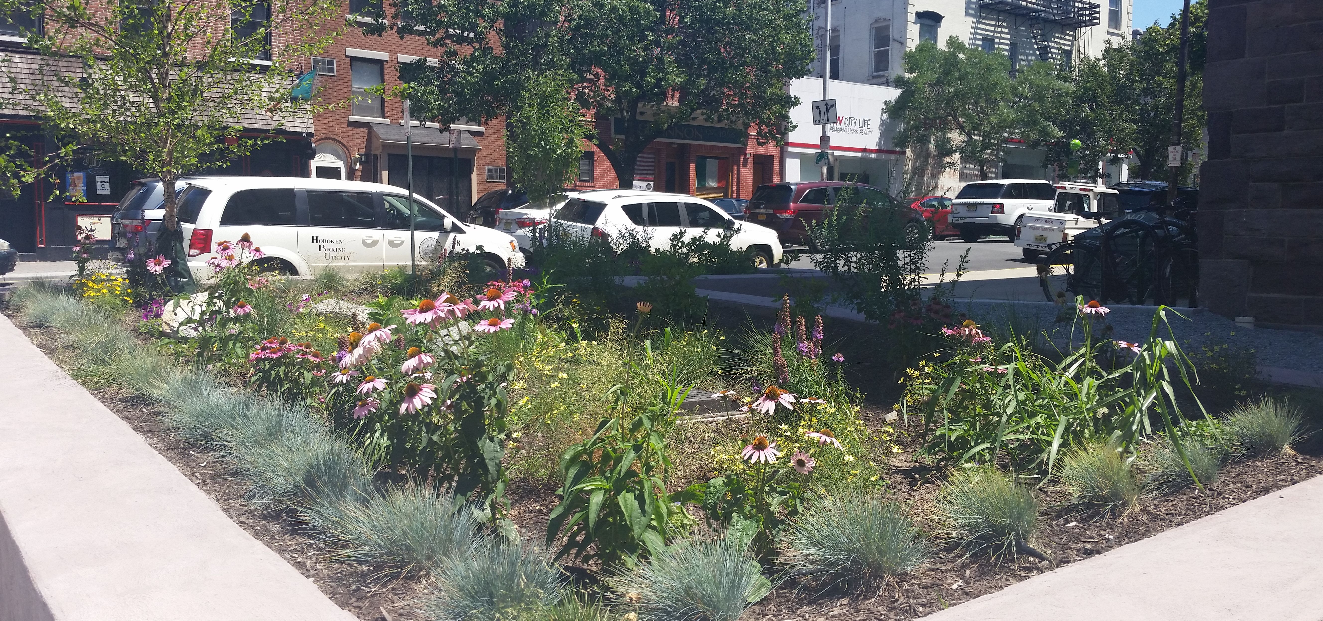 Team, News, Projects | NJIB | BondLink