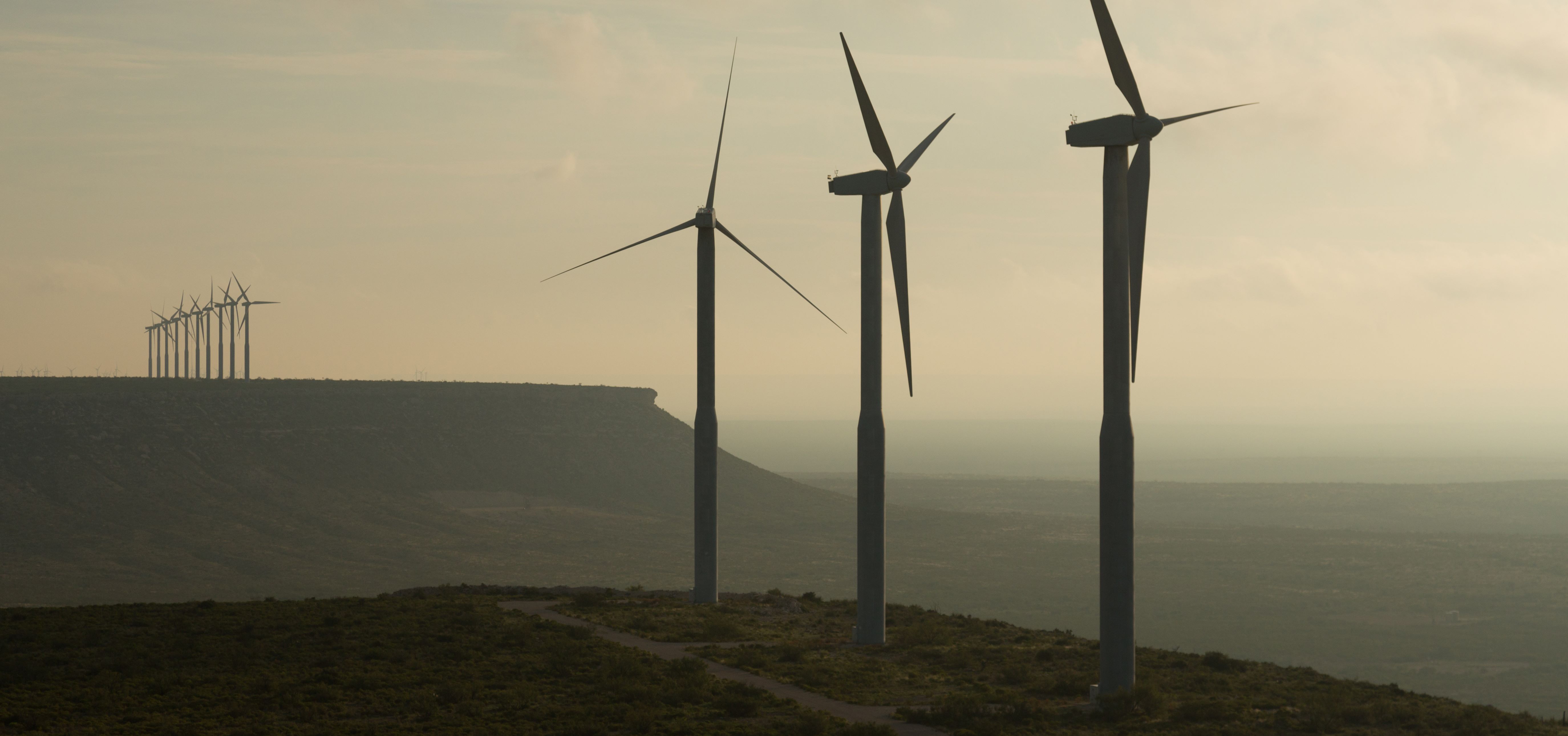 Team, News, Projects | Permanent University Fund | BondLink